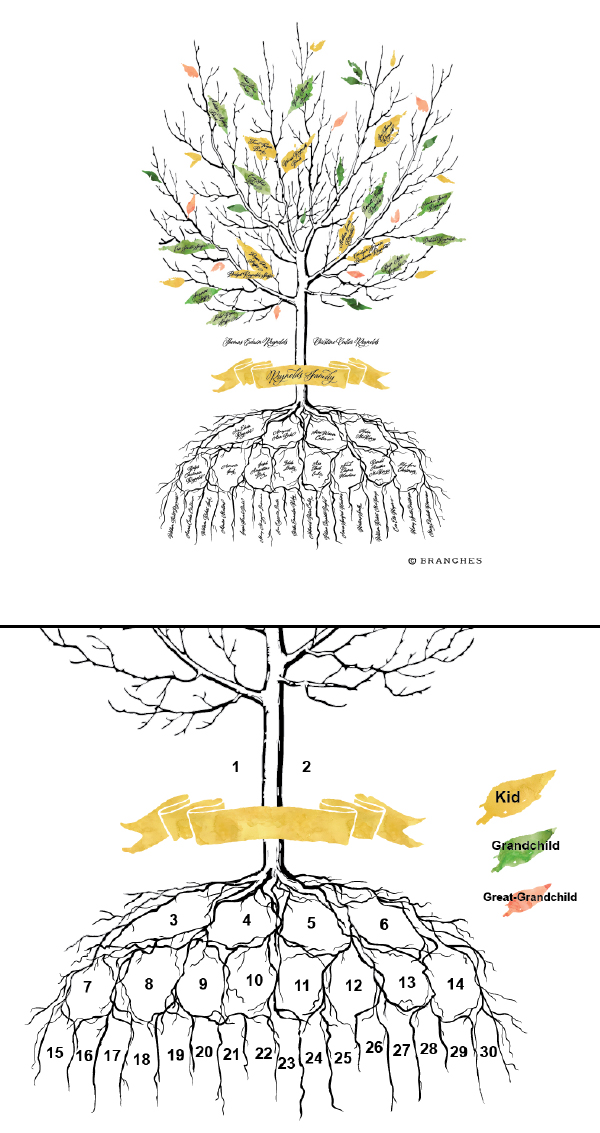 Past Present Family Tree Name Submission Instructions Branches Past Present Family Tree Name Submission Instructions Branches